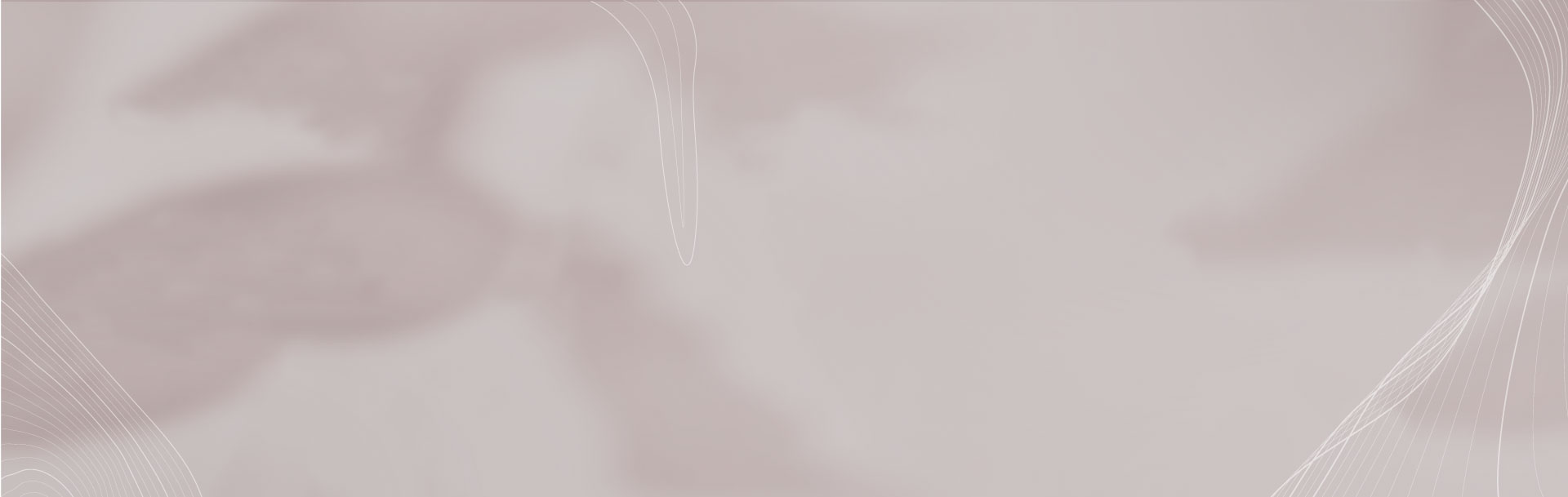 Lawyers & Attorneys for Businesses & Individuals | Messner Reeves